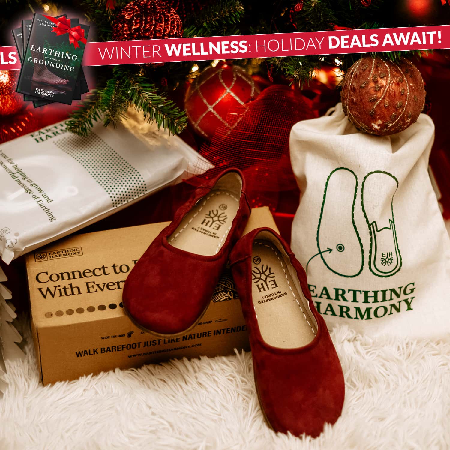 #1 Way To Harness Earth's Energy | Earthing Harmony Products