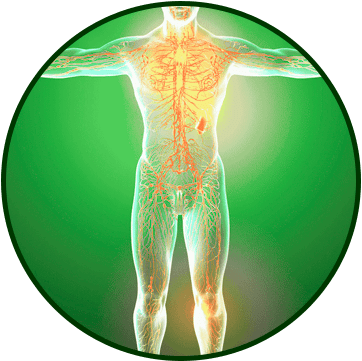 Grounding & Earthing Universal Mat